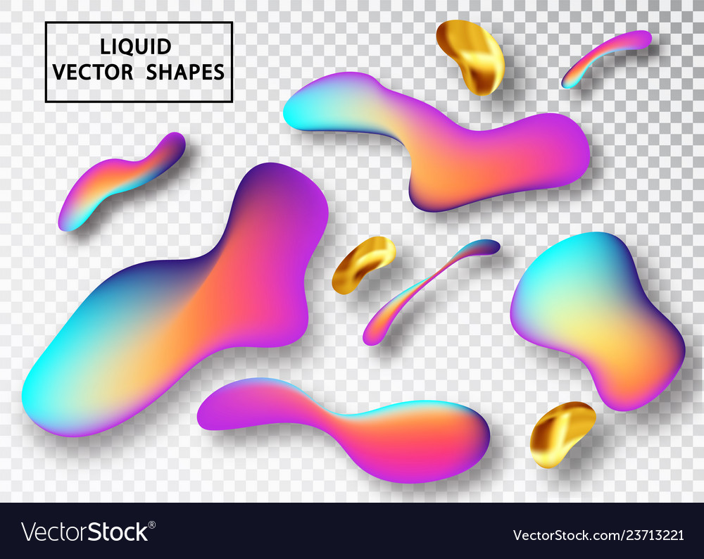 Fluid shape layout isolated template fluid Vector Image