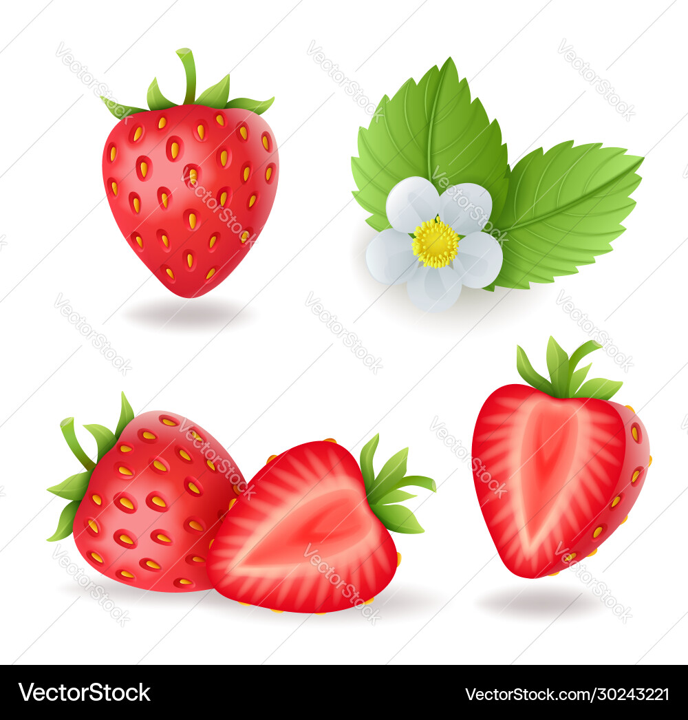 Realistic sweet strawberry set with leaves and Vector Image