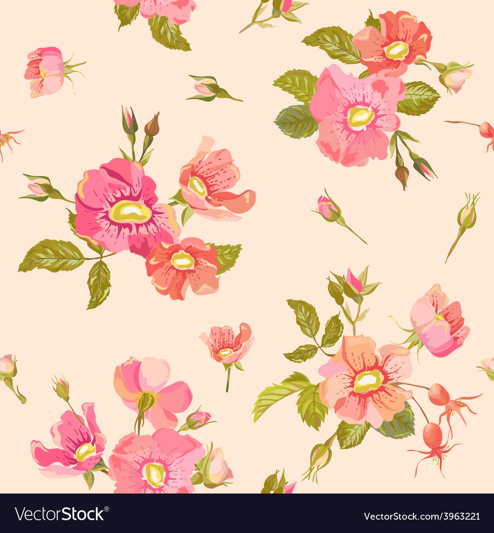 Roses background Royalty Free Vector Image - VectorStock