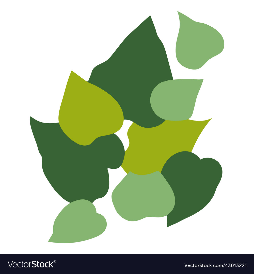 Various leaves flat Royalty Free Vector Image - VectorStock