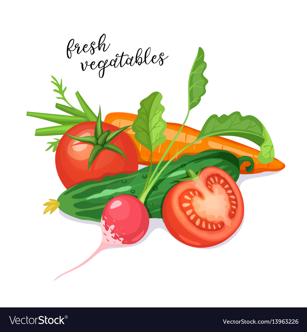 Fresh vegetables Royalty Free Vector Image - VectorStock