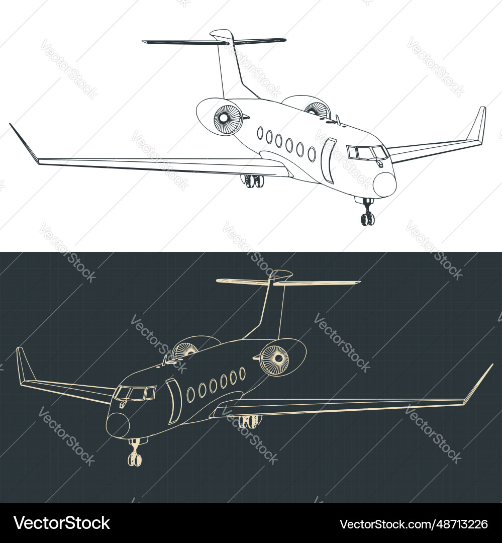 Private business jet isometric blueprints Vector Image