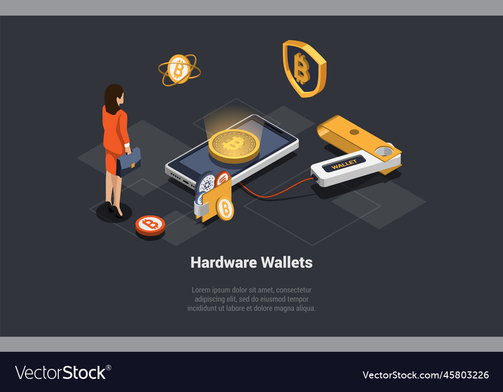 Safe storage and hardware offline decentralized Vector Image Safe storage and hardware offline decentralized Vector Image