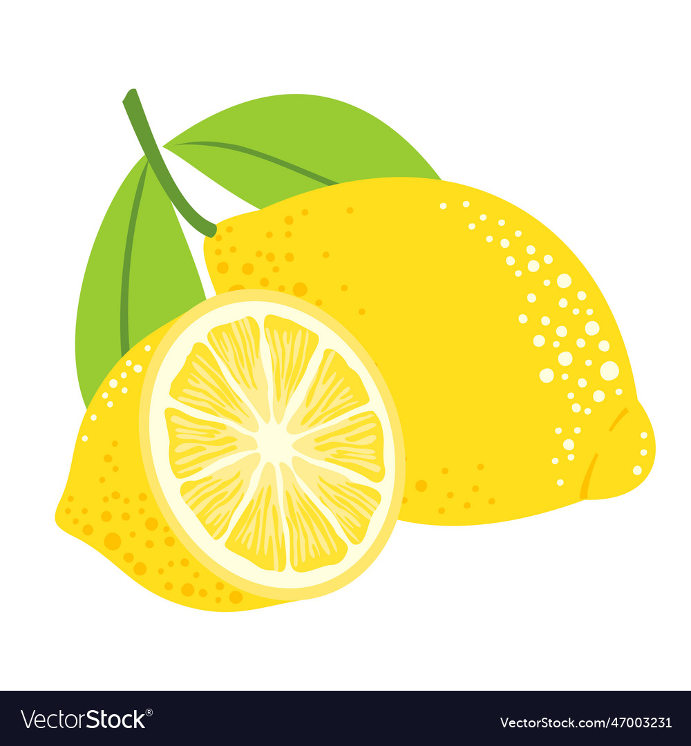 Lemon leaf half Royalty Free Vector Image - VectorStock