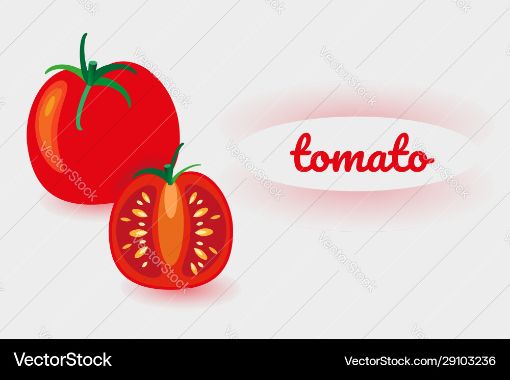 Colorful label with text whole tomato and cut Vector Image