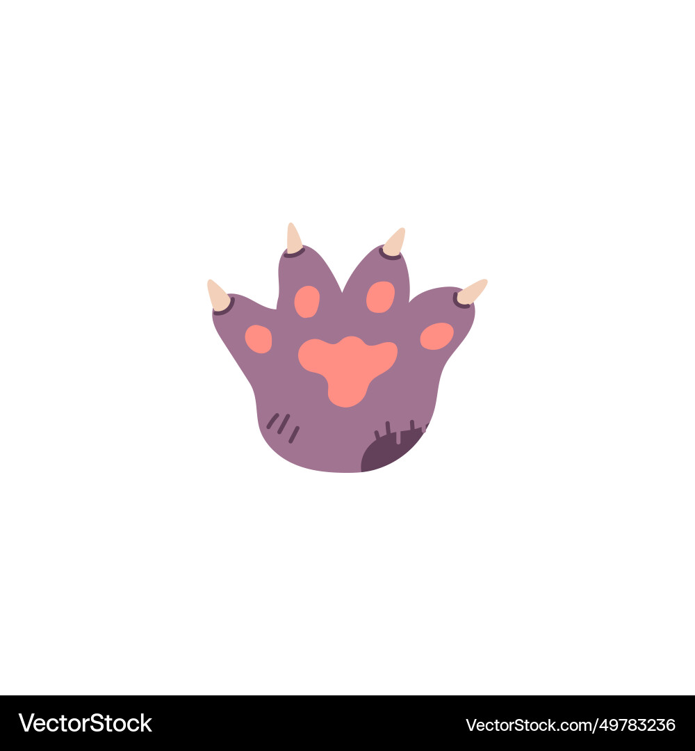Dog or cat fluffy paw with sharp claws and feet Vector Image