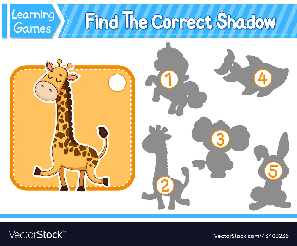 Find the correct shadow and match Royalty Free Vector Image