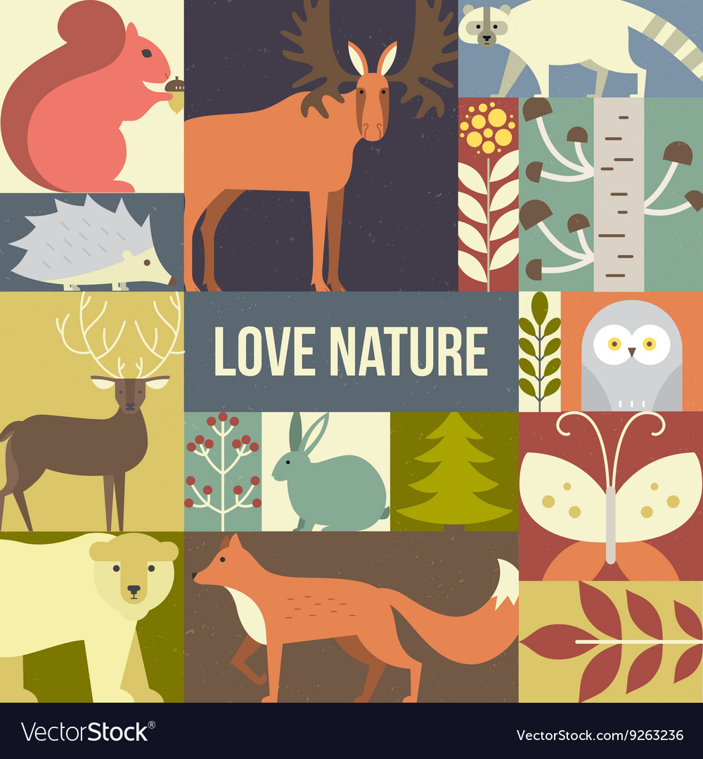 Forest Animals Royalty Free Vector Image - VectorStock