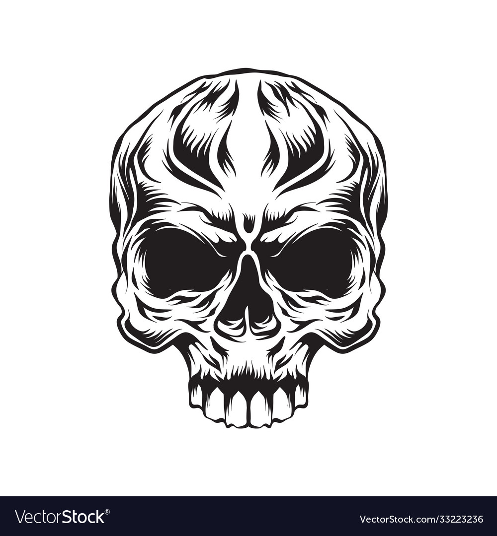 Head skull Royalty Free Vector Image - VectorStock