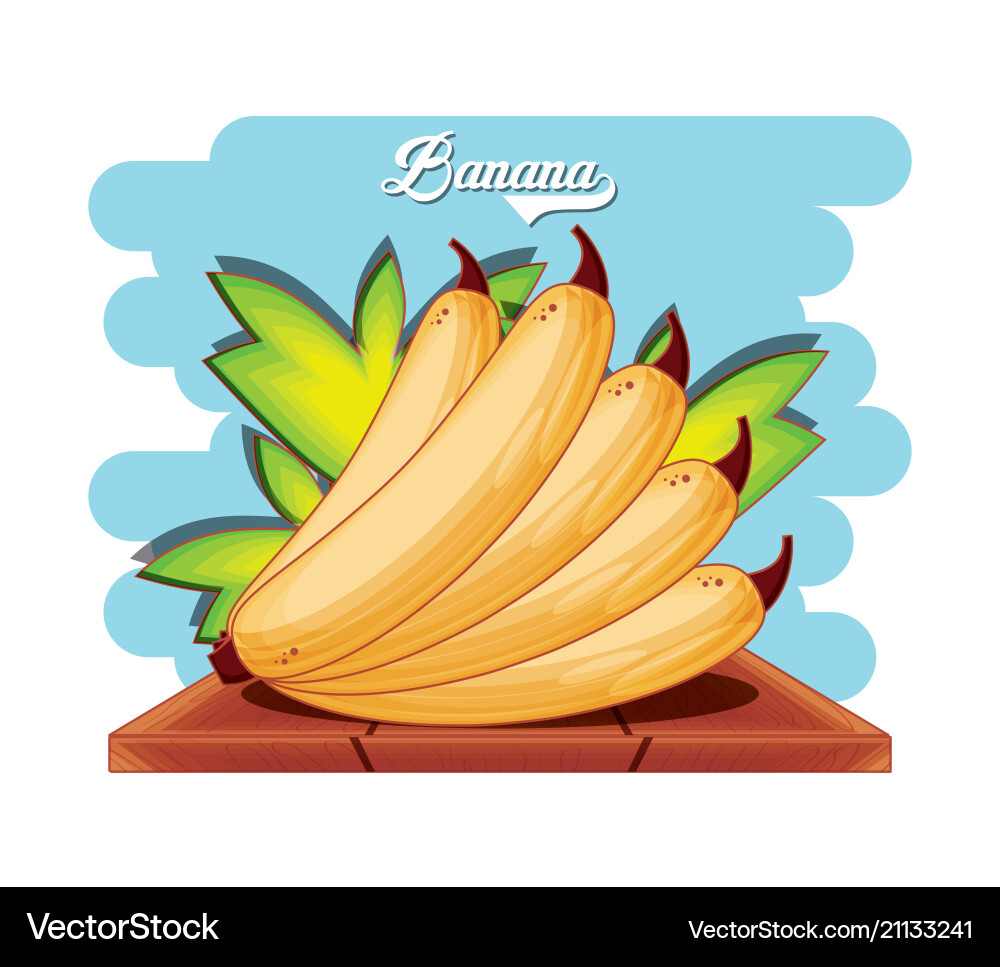 Fruit banana healthy food Royalty Free Vector Image