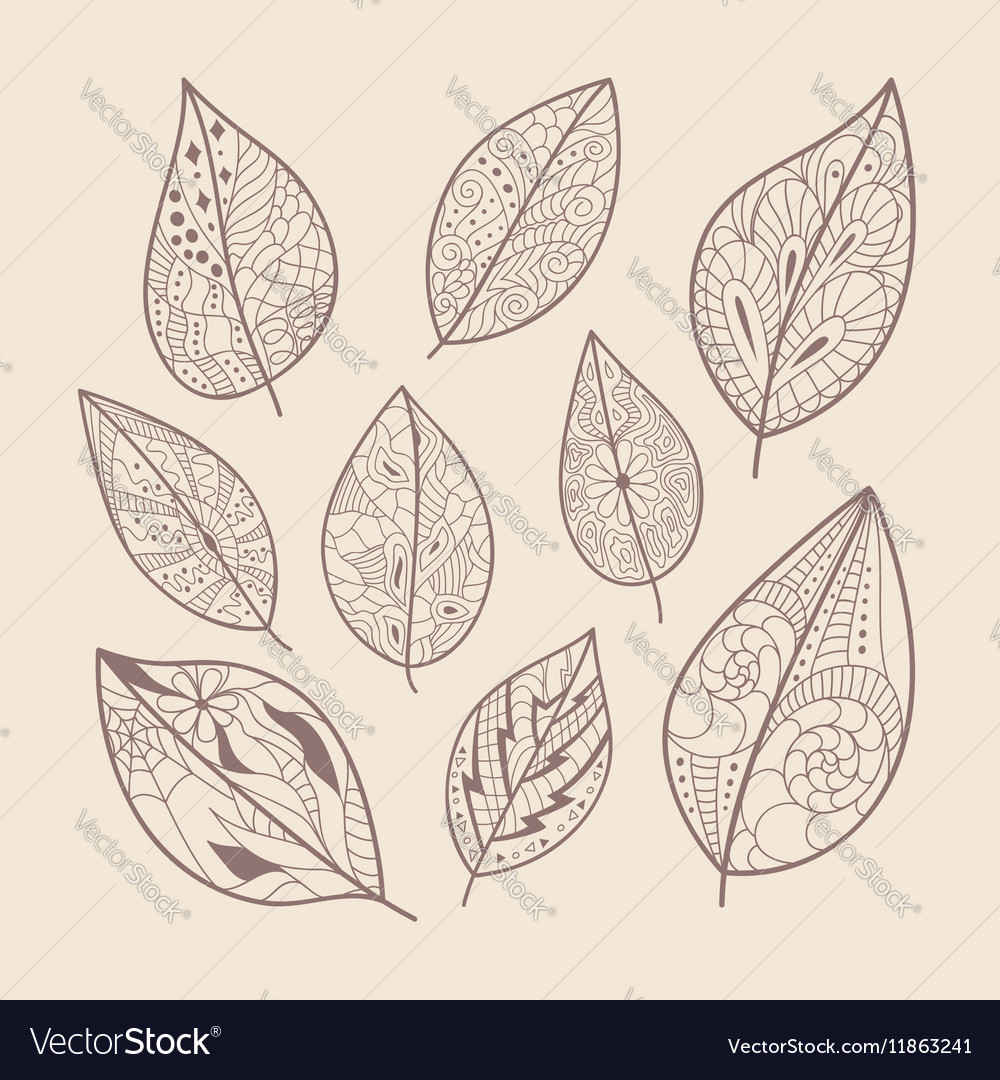Leaves doodle Royalty Free Vector Image - VectorStock
