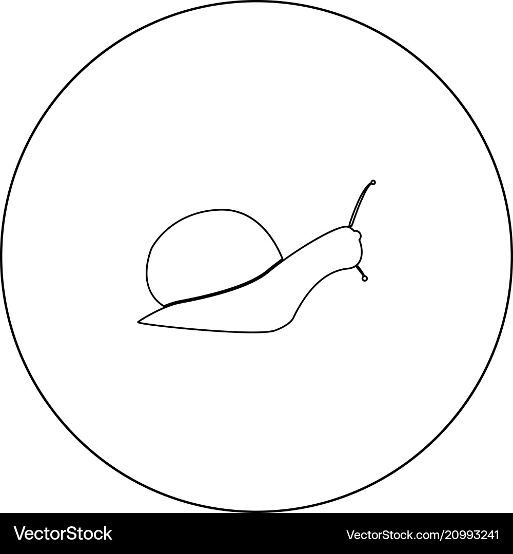Snail silhouette icon black color in circle Vector Image