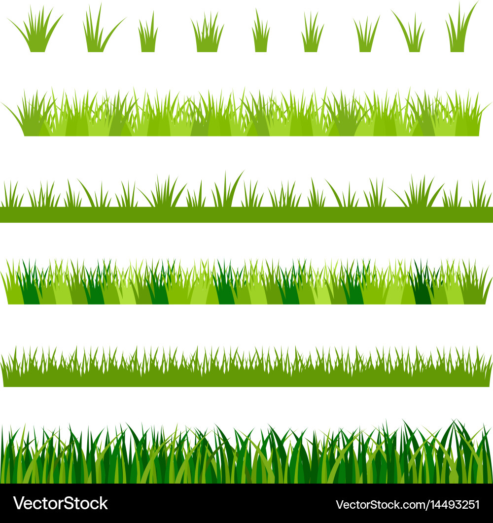 Collection of green grass Royalty Free Vector Image