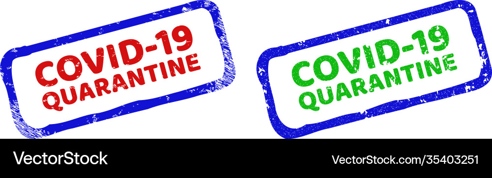 Covid19-19 quarantine bicolor rough rectangle Vector Image