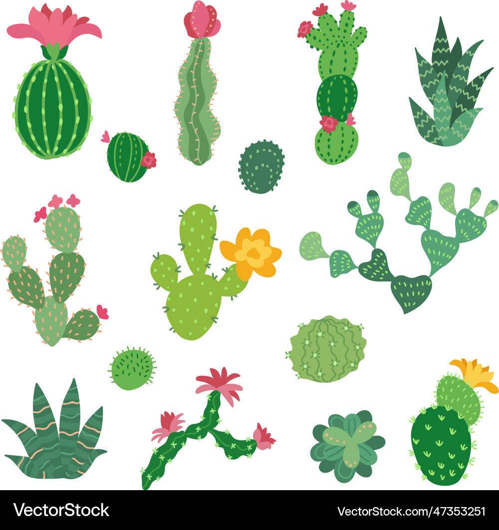 Decorative cactus collection cacti flowers Vector Image