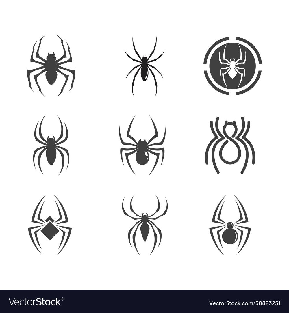 Spider icon design Royalty Free Vector Image - VectorStock