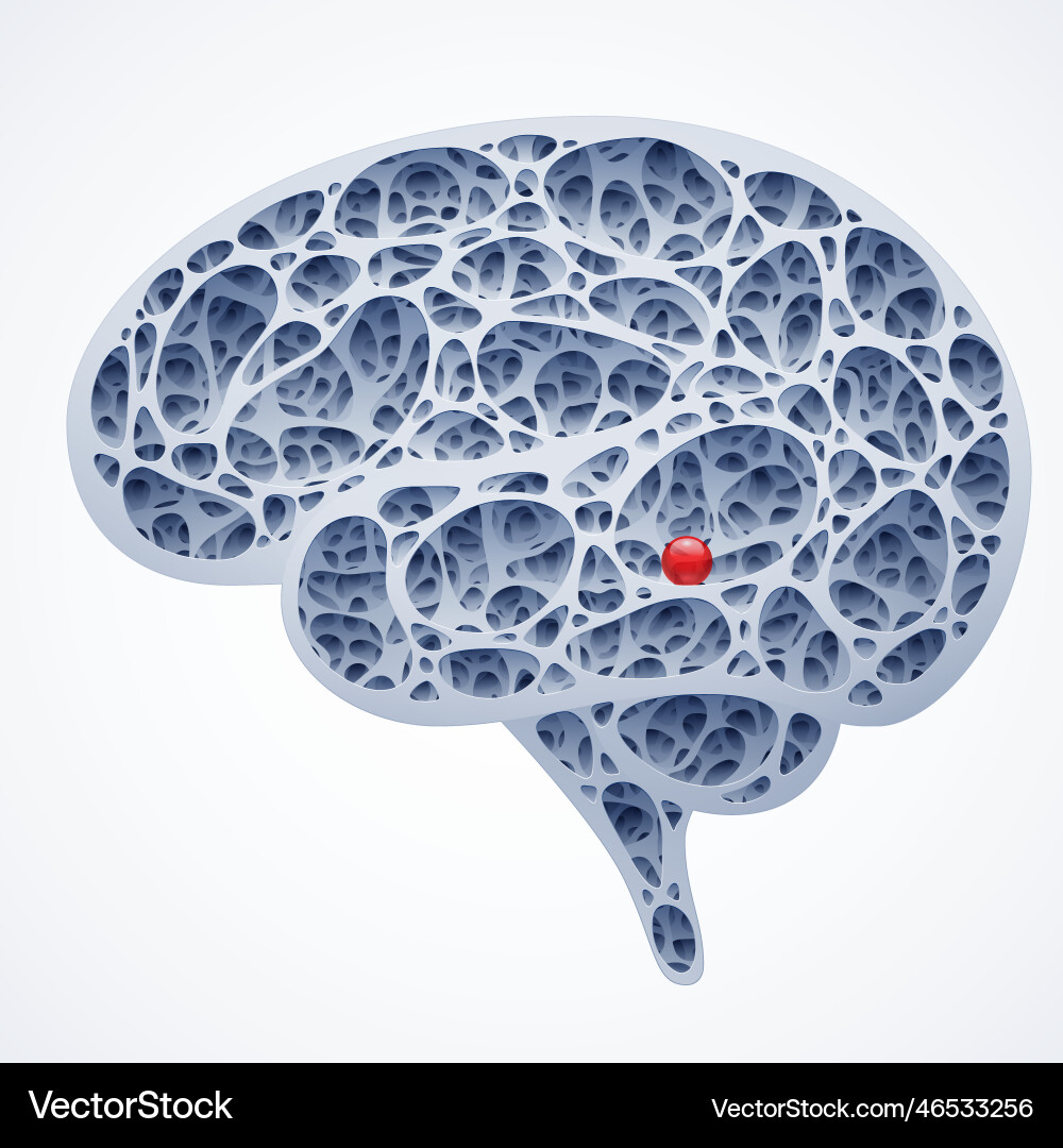 Abstract human brain composed of sponge-like Vector Image