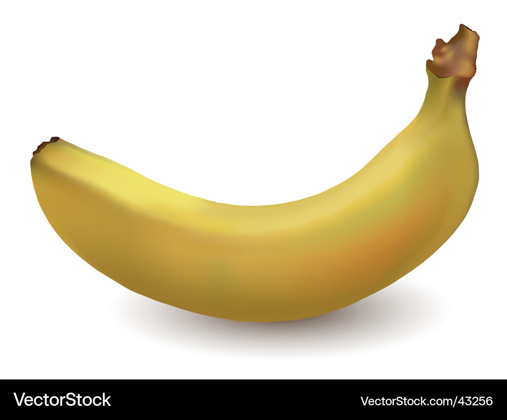 Banana Royalty Free Vector Image - VectorStock