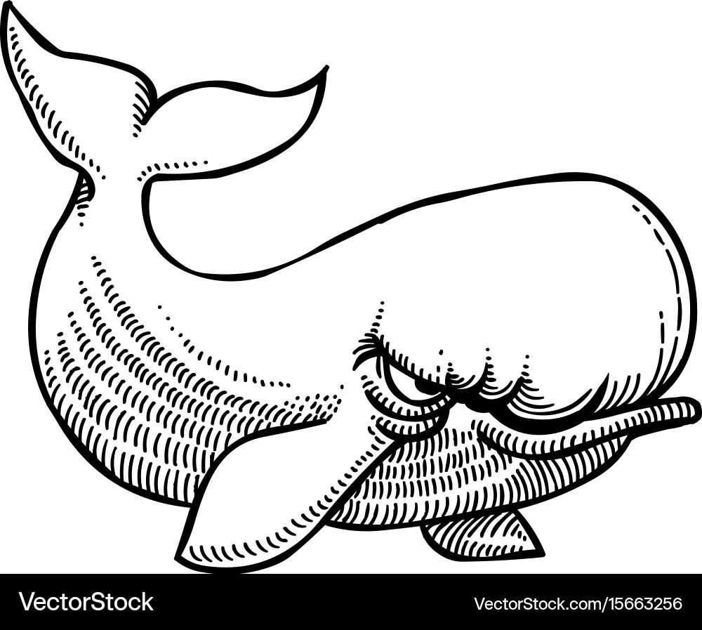Cartoon image of angry whale Royalty Free Vector Image