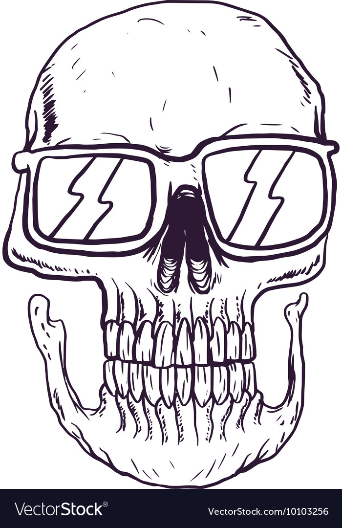 Cool skull Royalty Free Vector Image - VectorStock