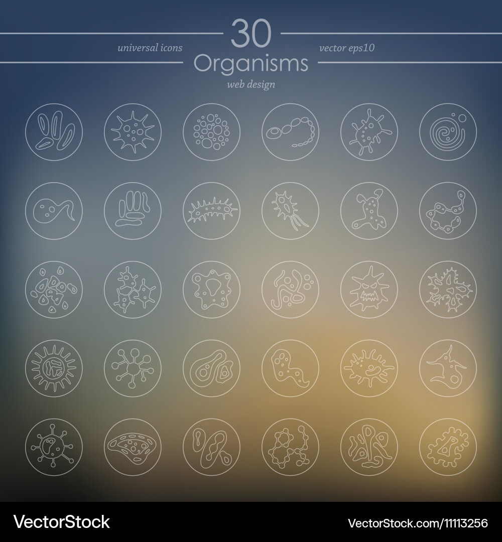 Set of organisms icons Royalty Free Vector Image