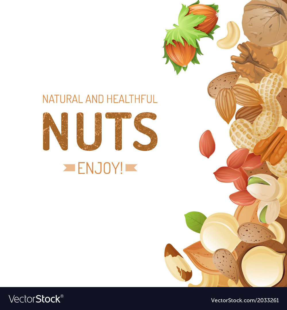 Bright background with different nuts Royalty Free Vector