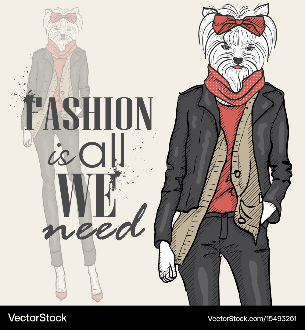 Color sketch of model Royalty Free Vector Image