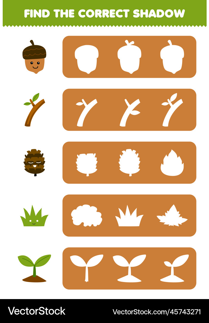 Education game for children find the correct Vector Image