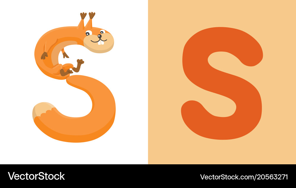 S is for squirrel letter cute Royalty Free Vector Image