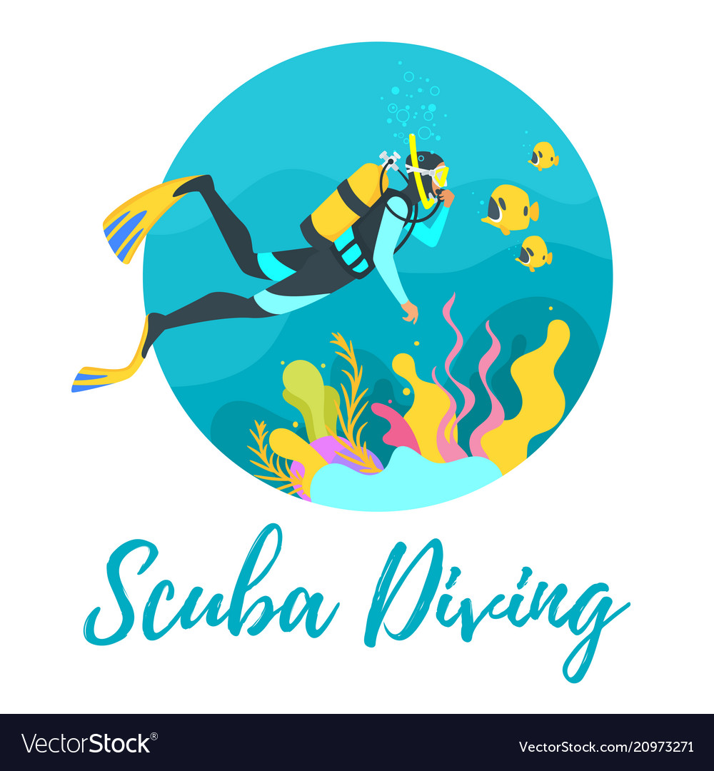 Scuba diver diving Royalty Free Vector Image - VectorStock