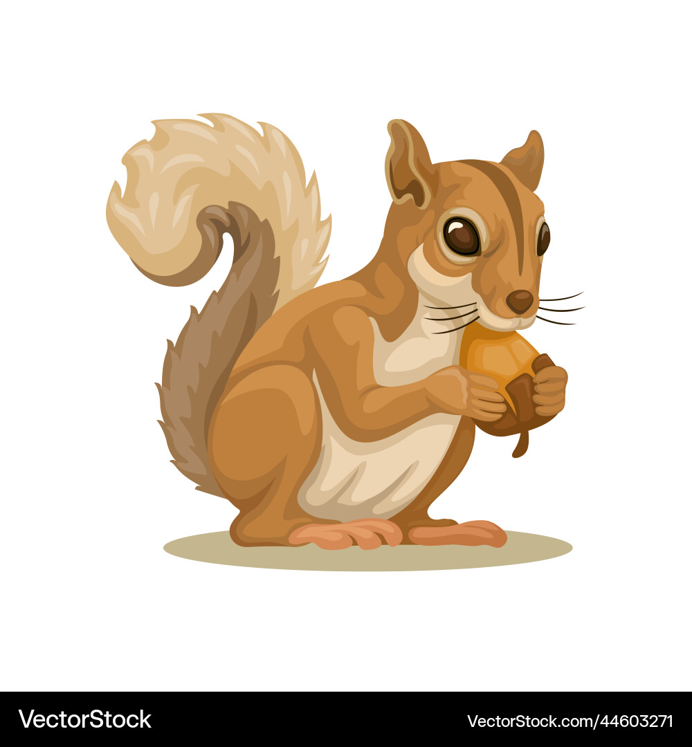 Squirell eating walnut character mascot cartoon Vector Image