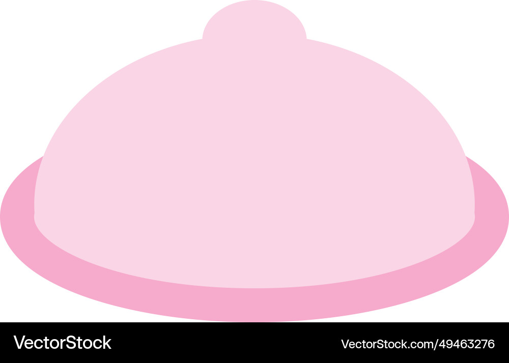 Contraceptive diaphragm for women Royalty Free Vector Image