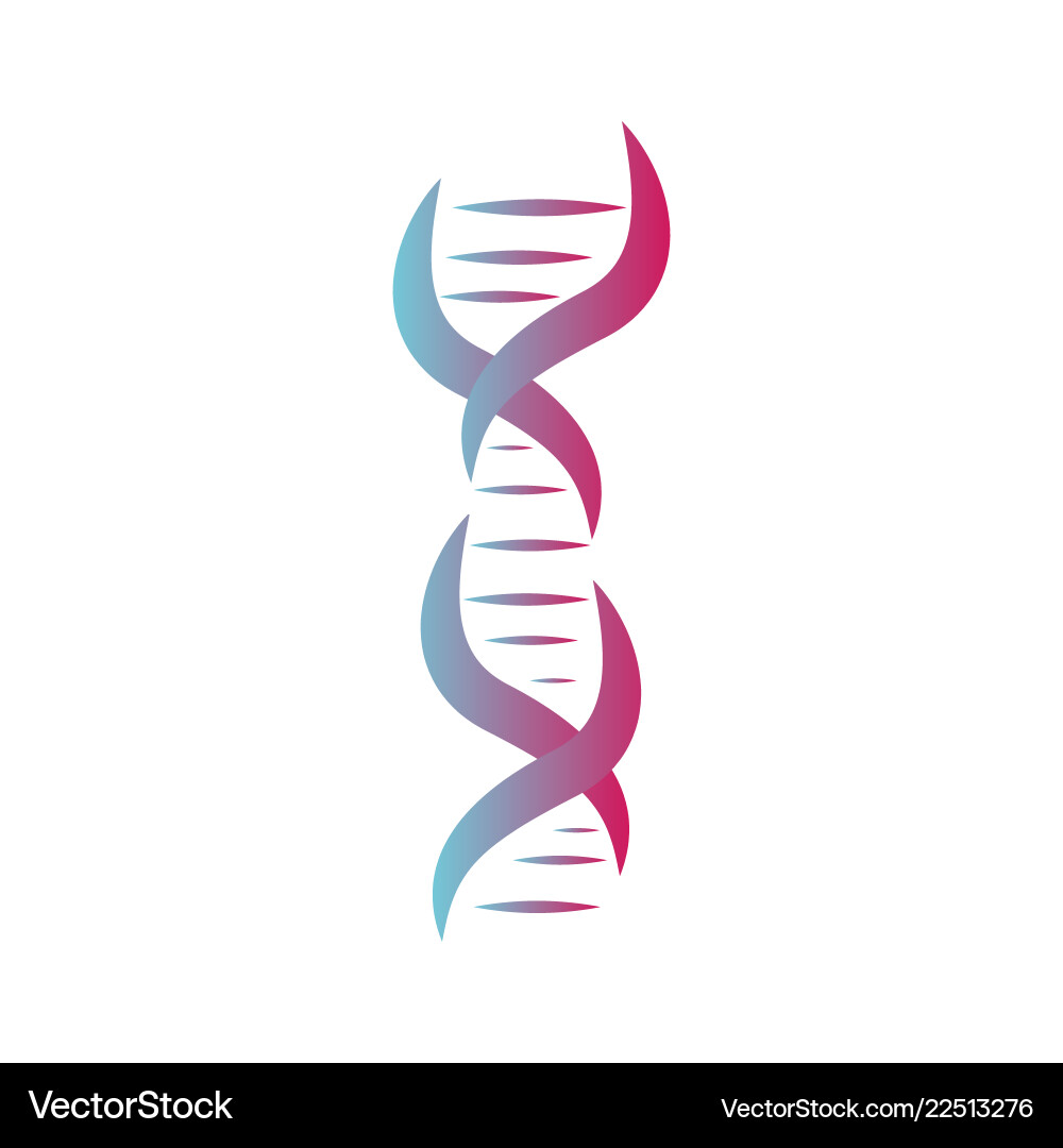 Dna genetic sign elements and icons collection Vector Image