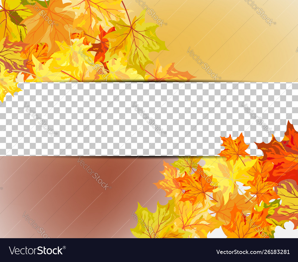 Autumn maple leaves Royalty Free Vector Image - VectorStock