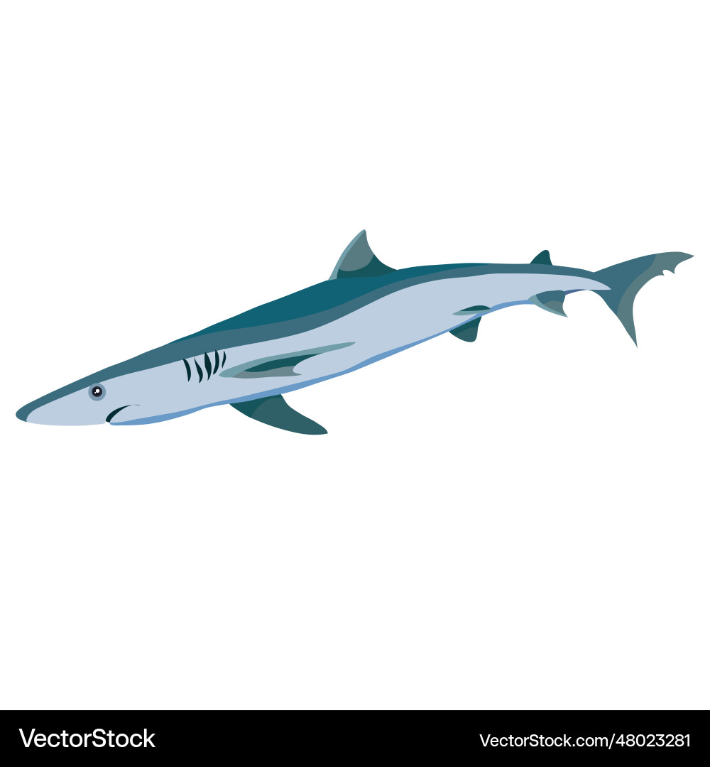 Shark in blue color cartoon isolated object Vector Image