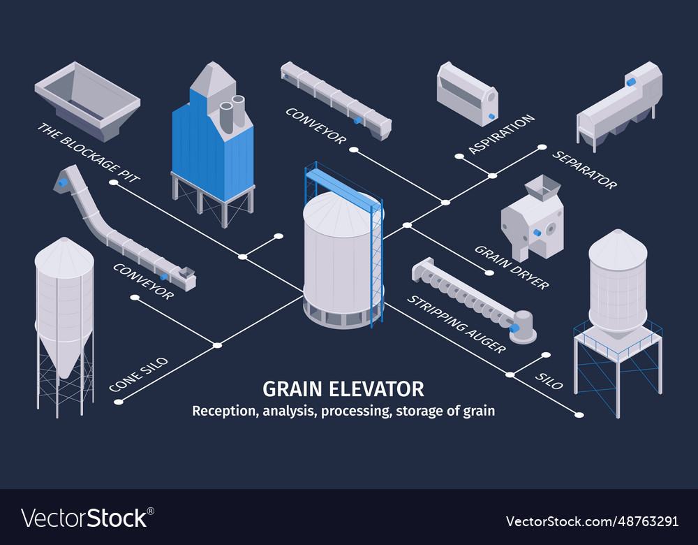 Grain elevator isometric flowchart Royalty Free Vector Image