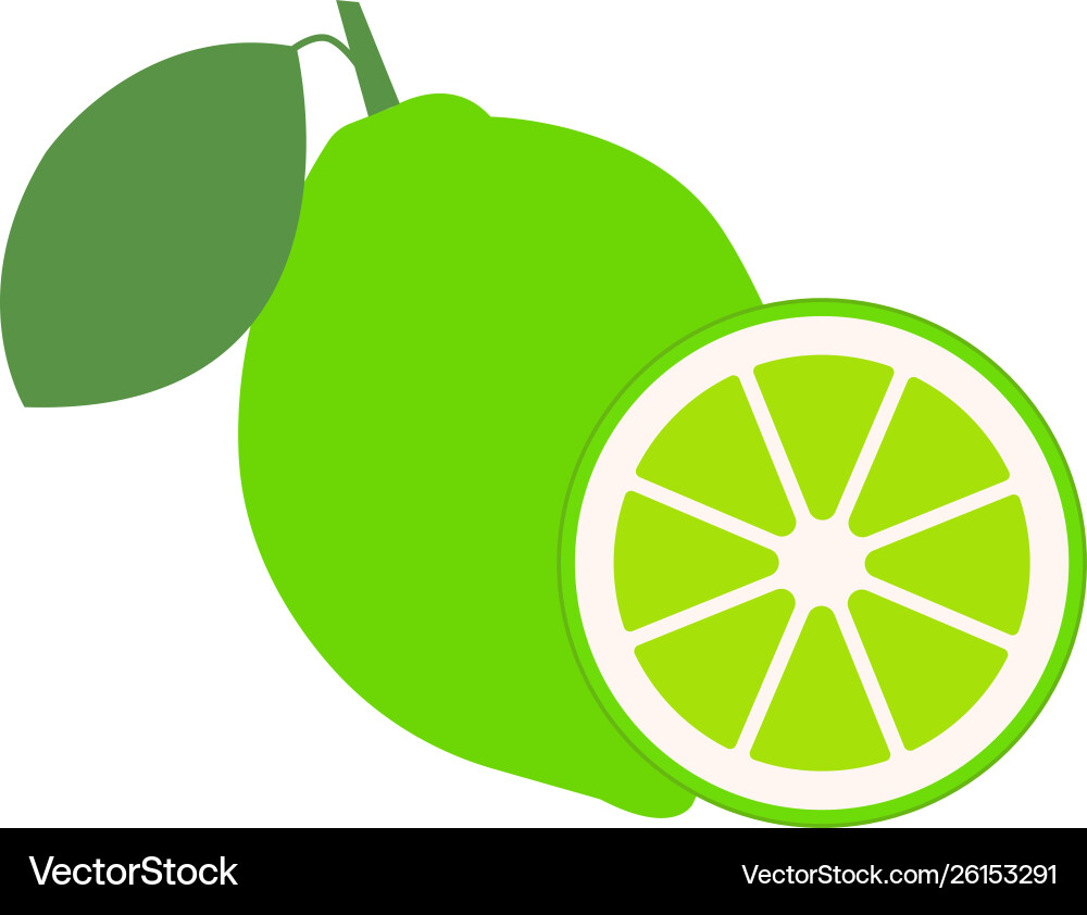 Lime with green leaves slice citrus isolated Vector Image
