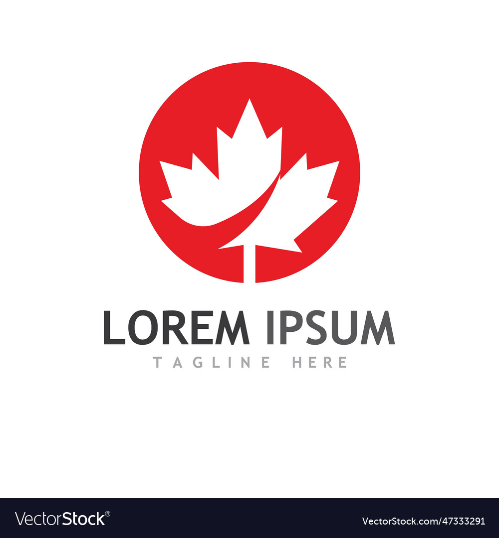 Maple leaf Royalty Free Vector Image - VectorStock
