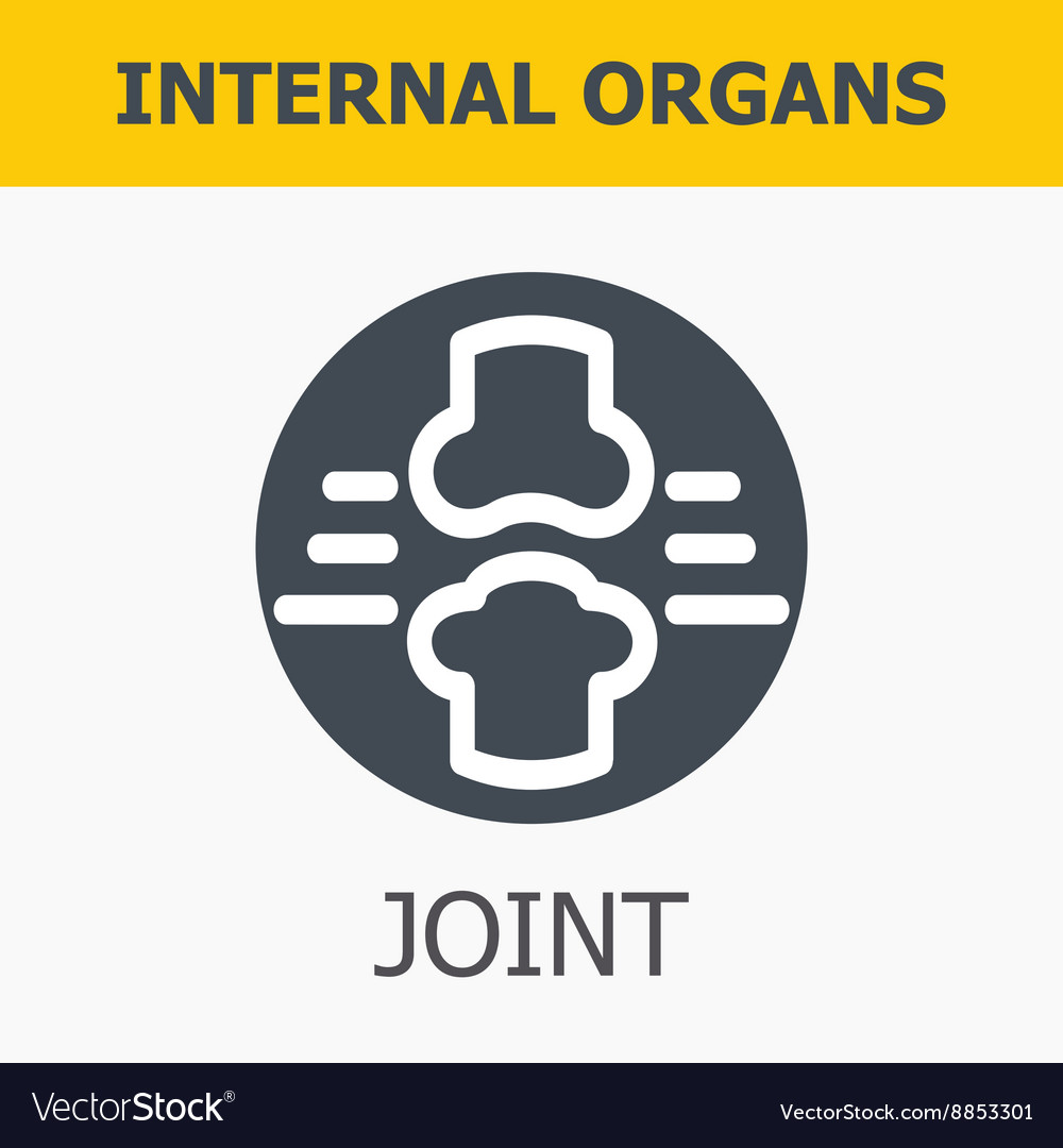 Internal organs - joint Royalty Free Vector Image