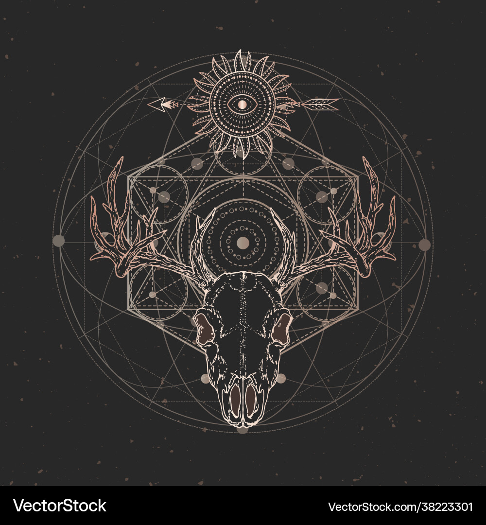 Stag skull and sacred symbol Royalty Free Vector Image