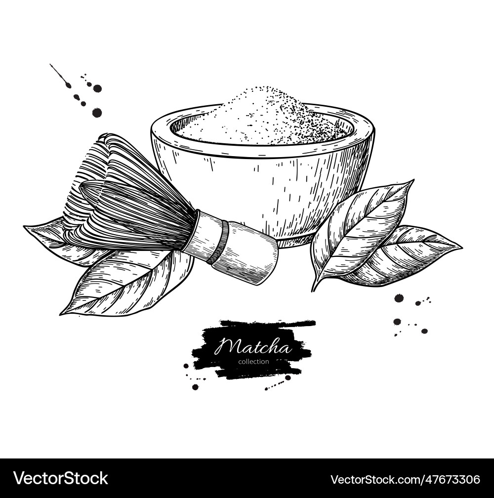 Matcha tea drawing green powder leaves Royalty Free Vector