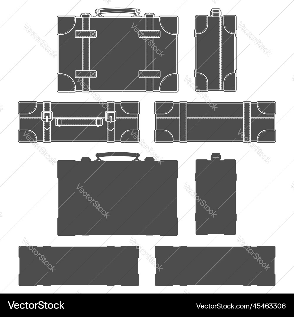 Set of with leather retro suitcase Royalty Free Vector Image