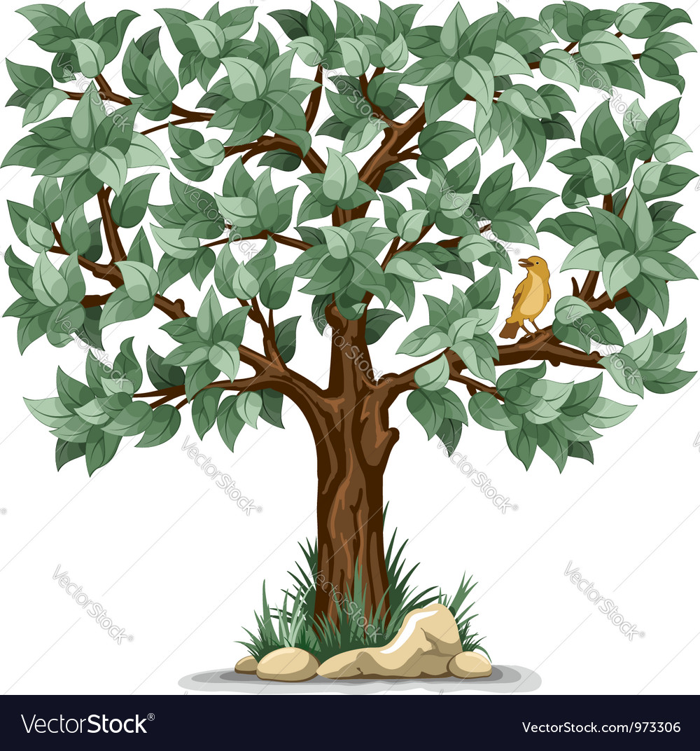 Tree Royalty Free Vector Image - VectorStock