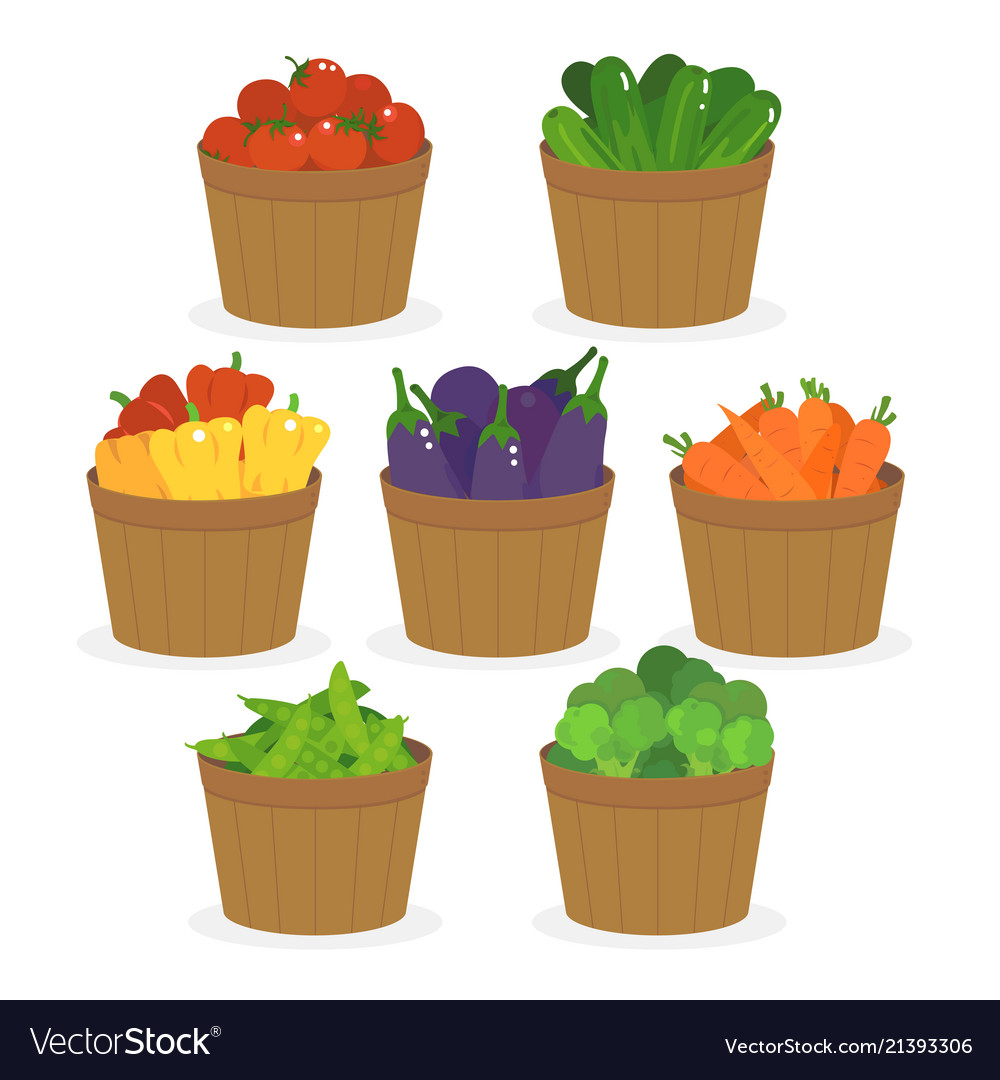 Vegetable Royalty Free Vector Image - VectorStock