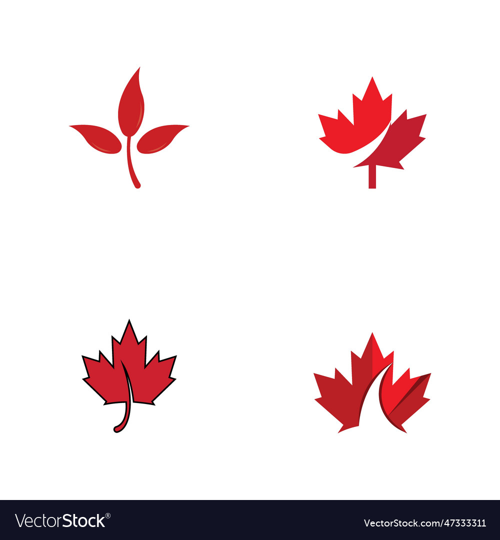 Maple leaf Royalty Free Vector Image - VectorStock
