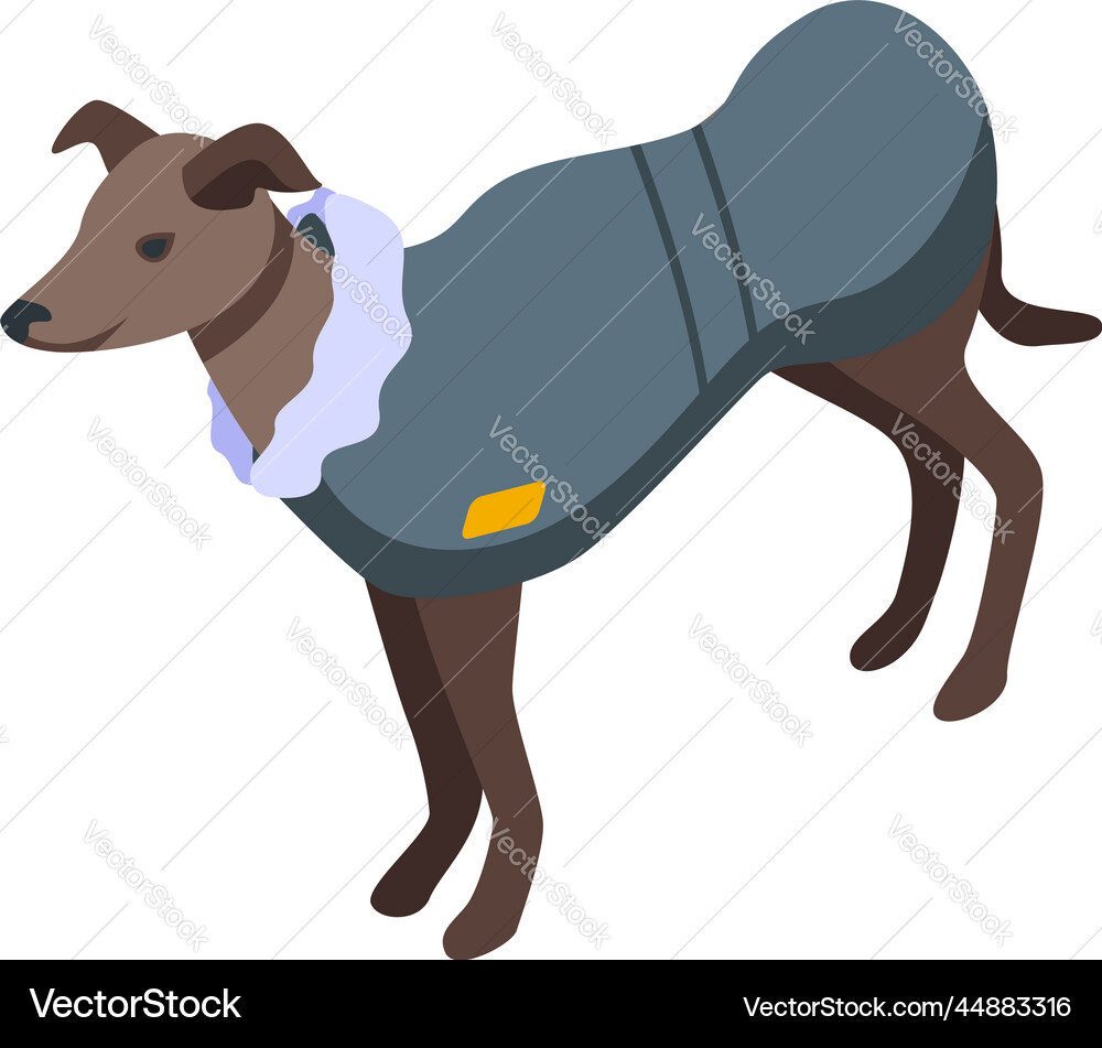 Cloth greyhound icon isometric animal pet Vector Image