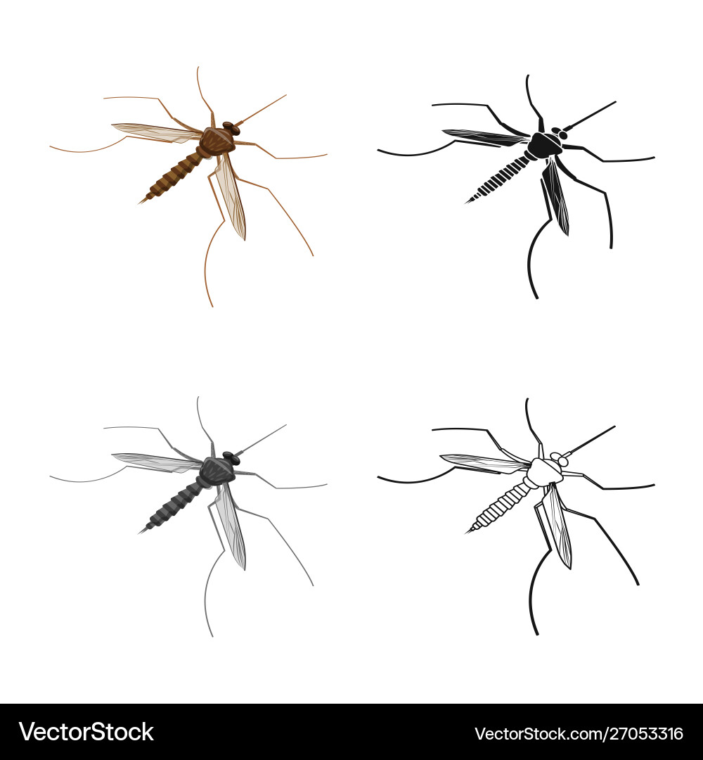 Design gnat and mosquito icon set Royalty Free Vector Image