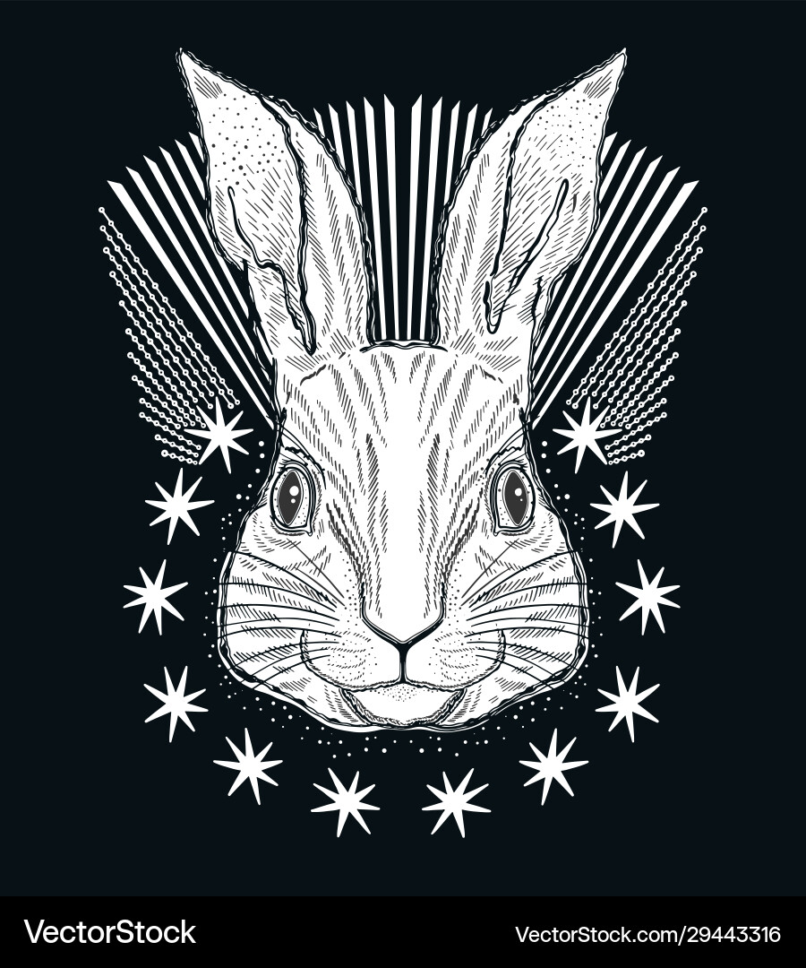 Rabbit animal magic drawing linevintage style Vector Image