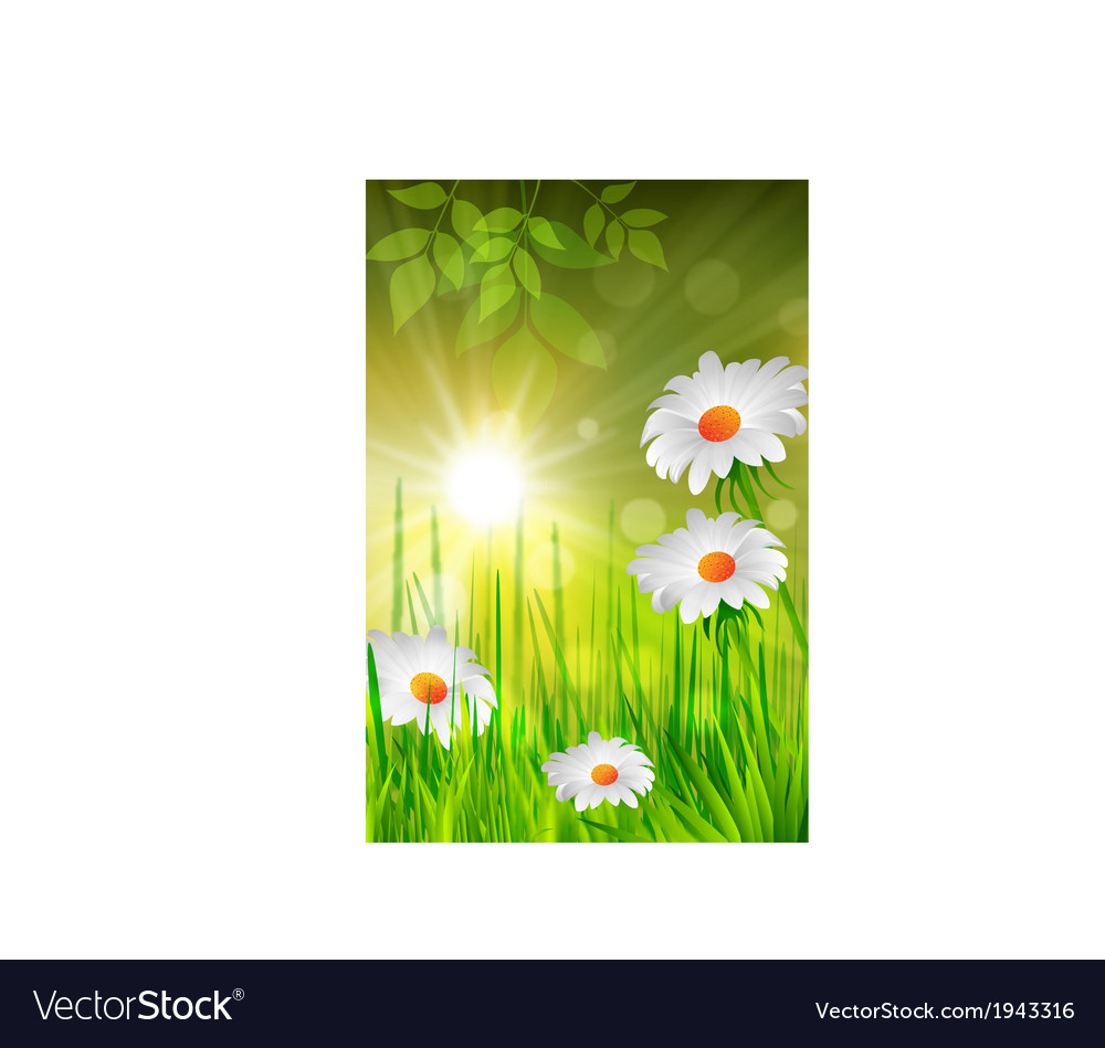 Spring Background Royalty Free Vector Image - VectorStock