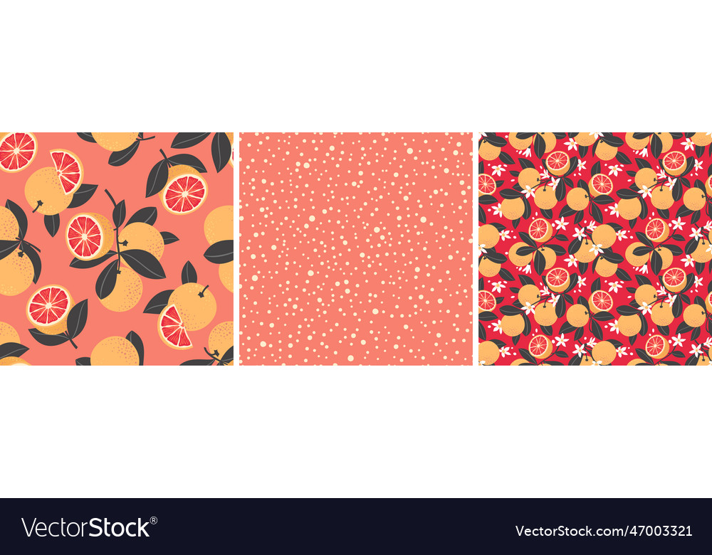 Grapefruit pattern set Royalty Free Vector Image